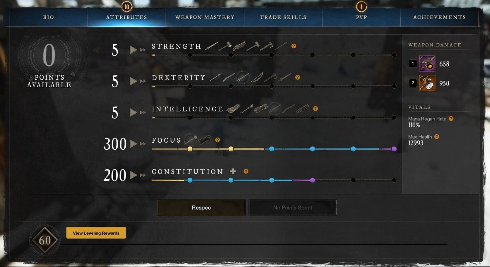 The Ultimate New World Healer Guide and Builds